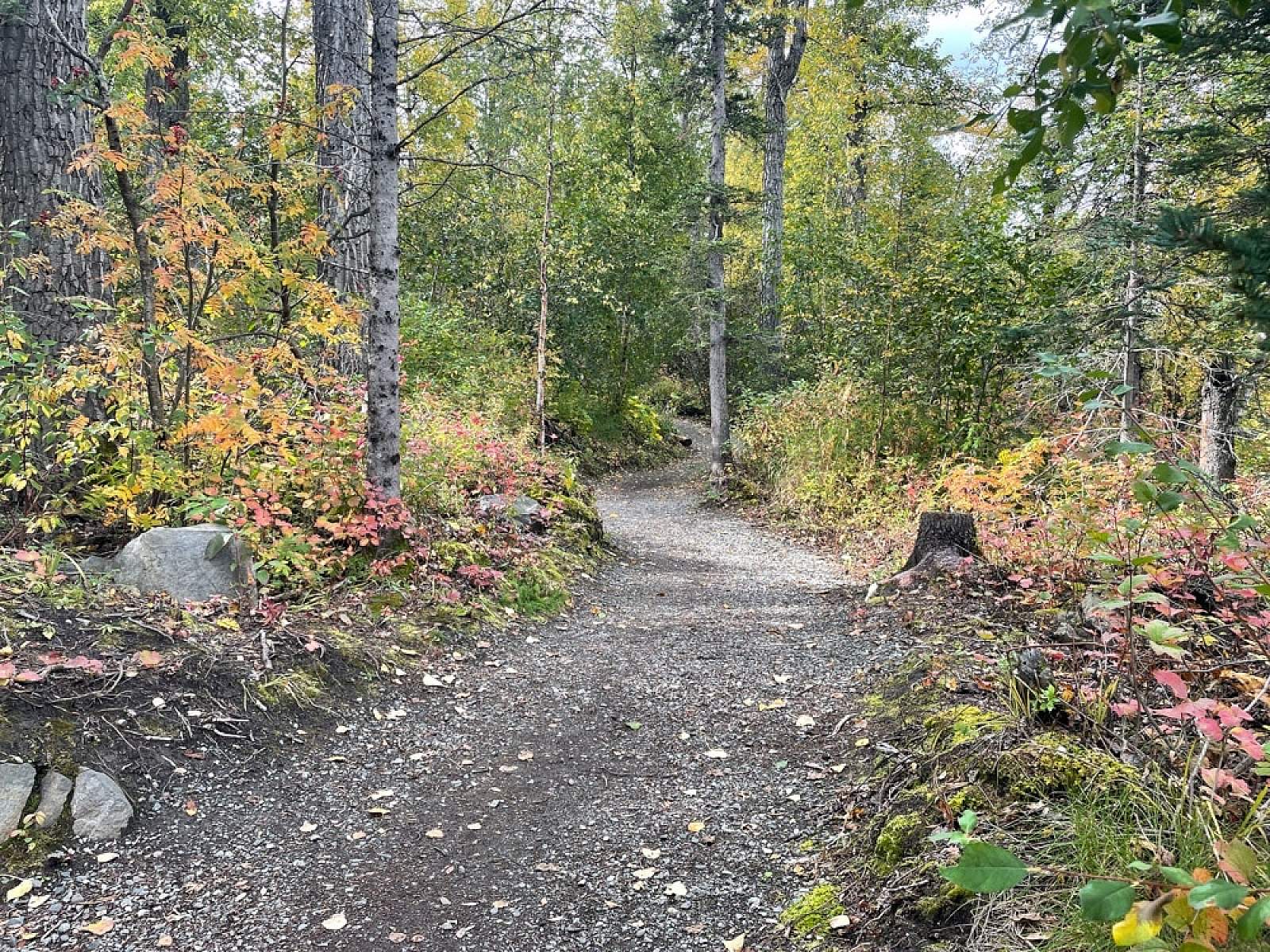 Matanuska River Park Trails | Family-friendly Trail near… | ALASKA.ORG