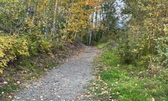 Matanuska River Park Trails | Family-friendly Trail near… | ALASKA.ORG