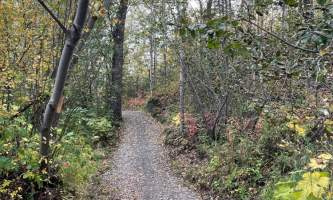 Matanuska River Park Trails | Family-friendly Trail near… | ALASKA.ORG