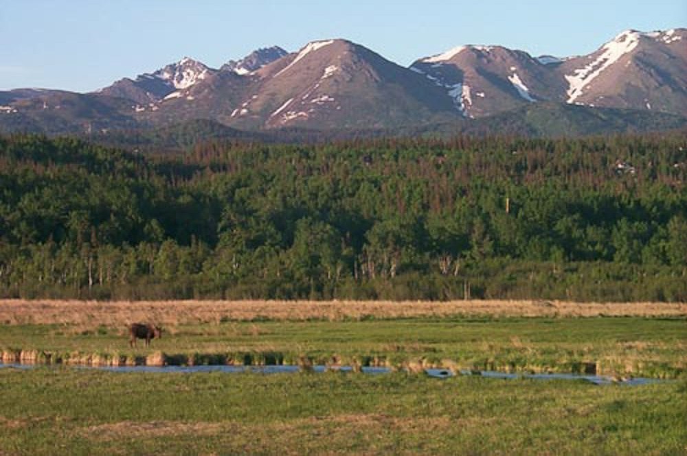 Alaska Vacations & Travel Advice from Trusted Alaskans | ALASKA.ORG