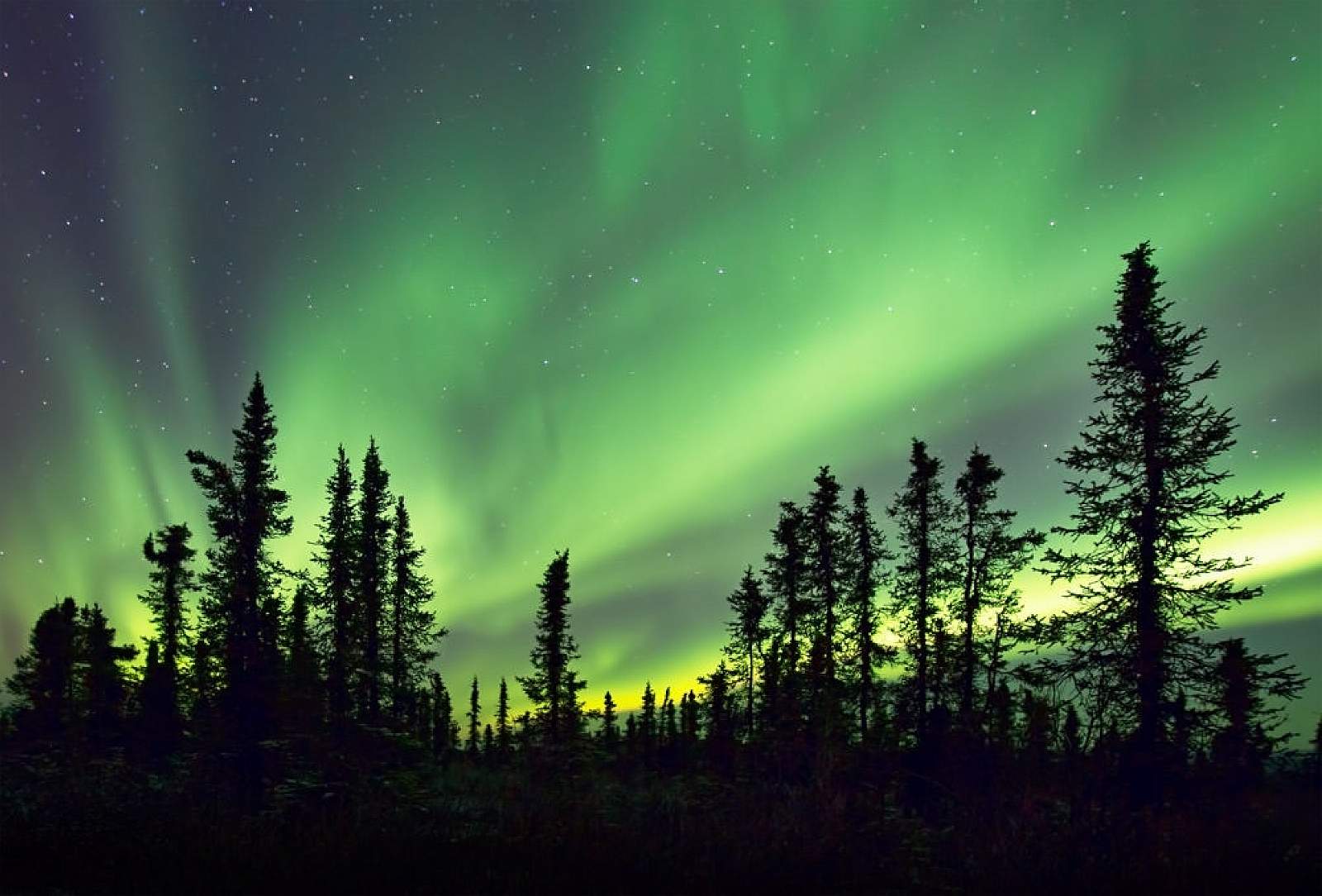 12 Day Winter Highlights & Northern Lights | Alaska.org… | ALASKA.ORG